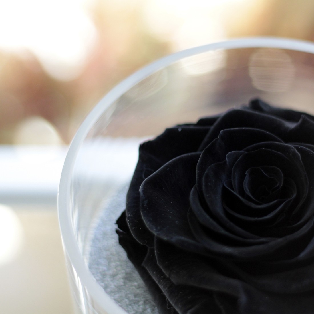 Selección de Rosas Negras Exclusivas